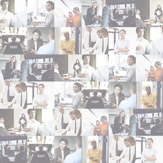 Embedded Consulting Services | Control Risks