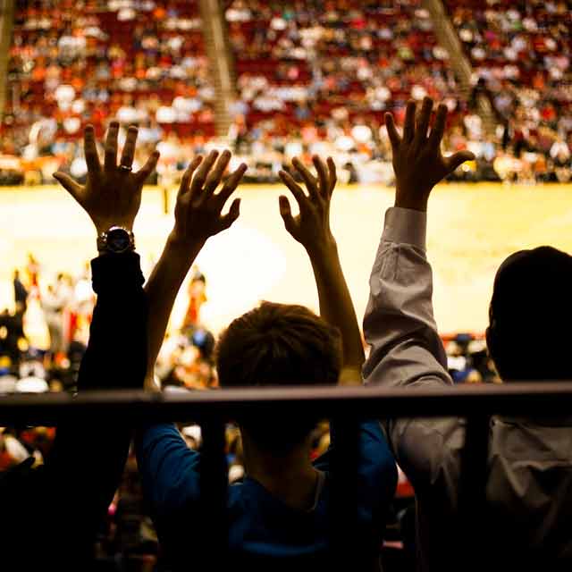 Risk Management and Security Solutions for Sport and Major Events