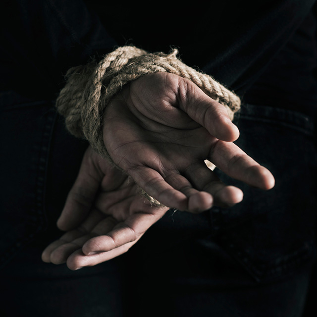 Developing the capability to respond to and manage crises and critical ...