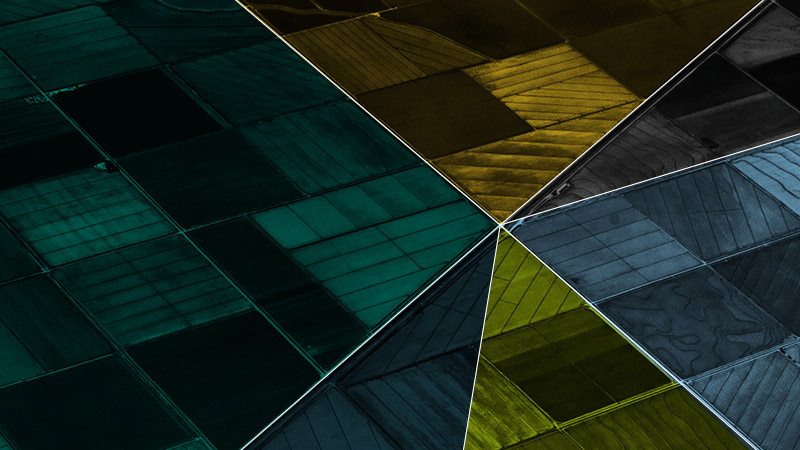 化险集团发布风险地图2022中文版 前瞻在握，先势而行