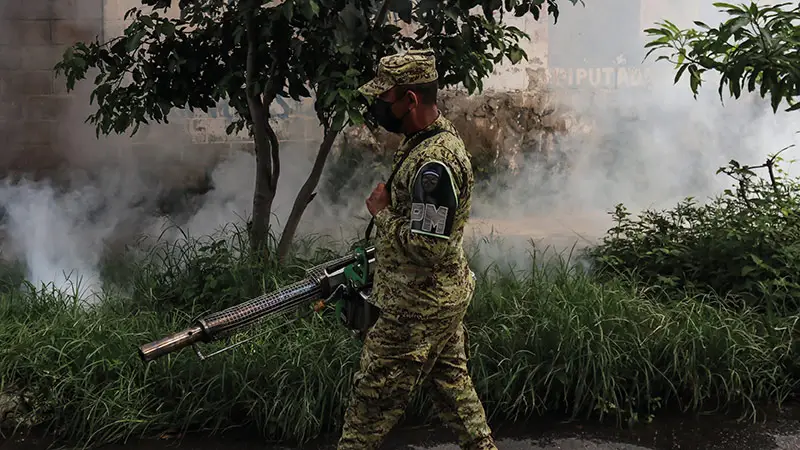 化险集团 | 您的全球风险管控顾问